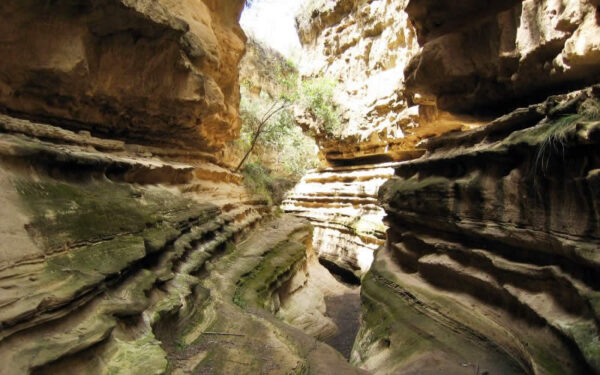 Hells Gate National Park Day Trip; Spectacular Adventures 1day tour