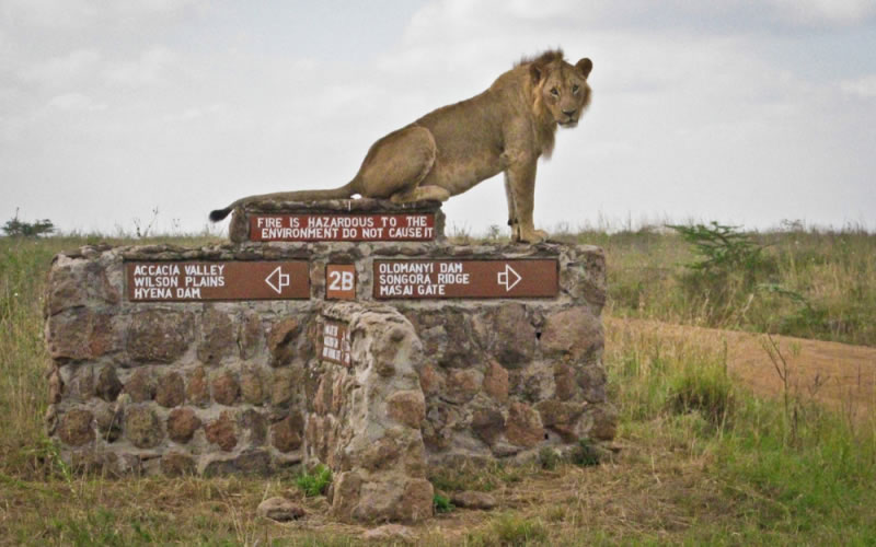 How Much To Enter Nairobi National Park